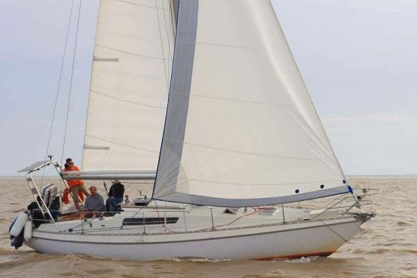 Melody: "Die Entscheidung für ein erschwingliches und ultra ...